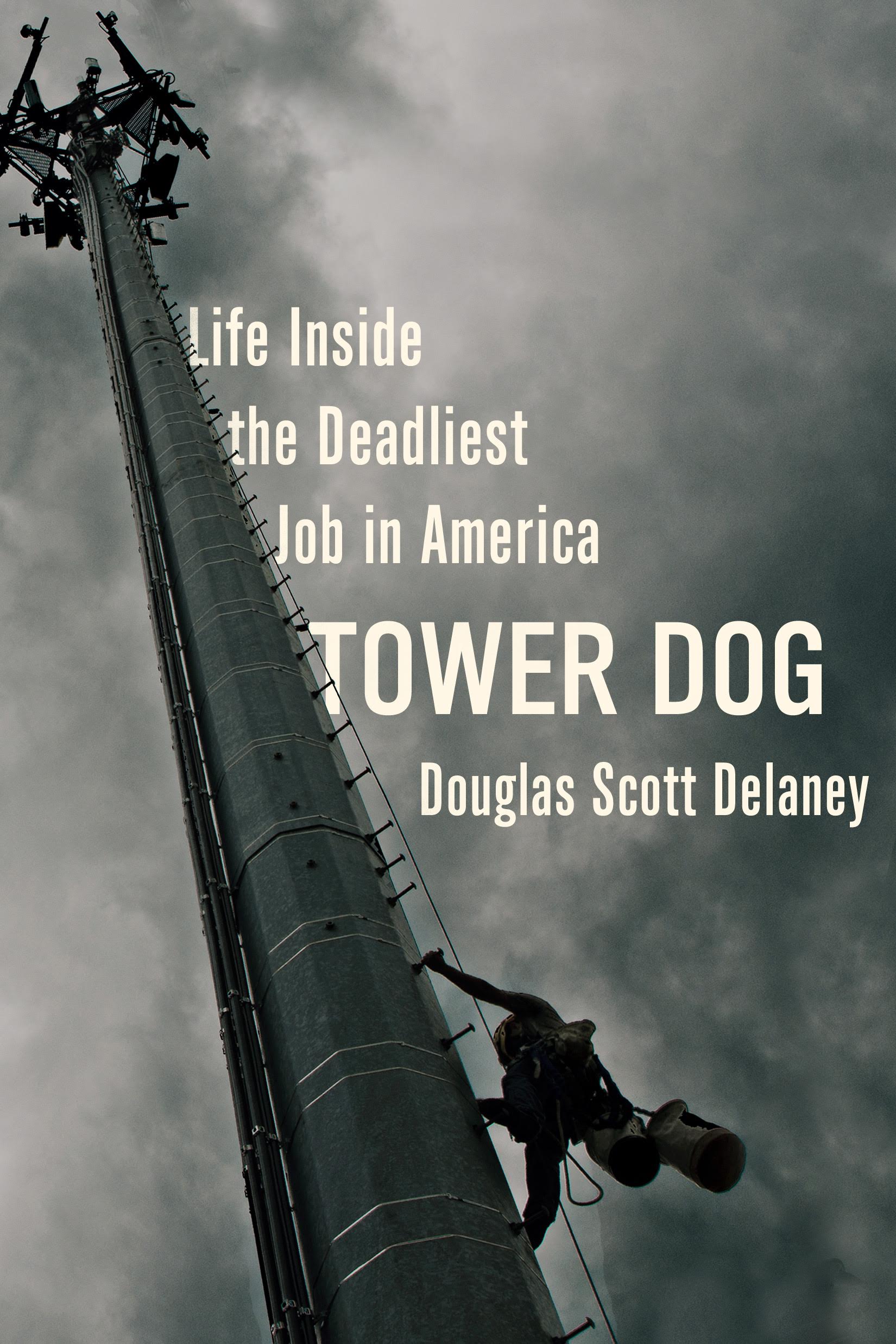 Tower-Dog.jpg